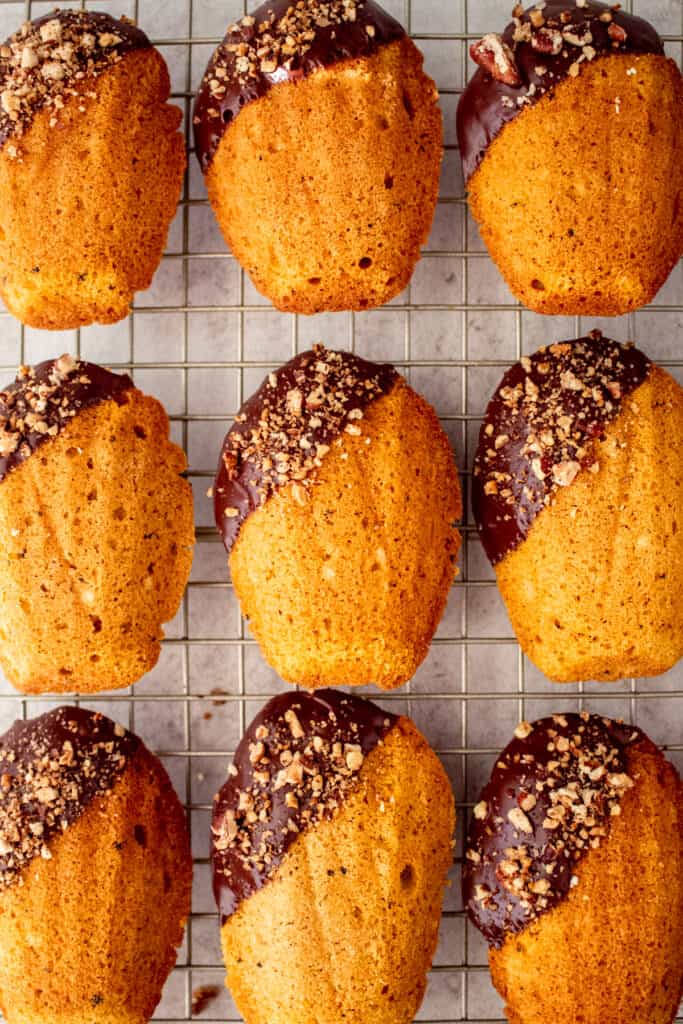 Chocolate Dipped Brown Butter Pumpkin Madeleines - Little Vintage Baking