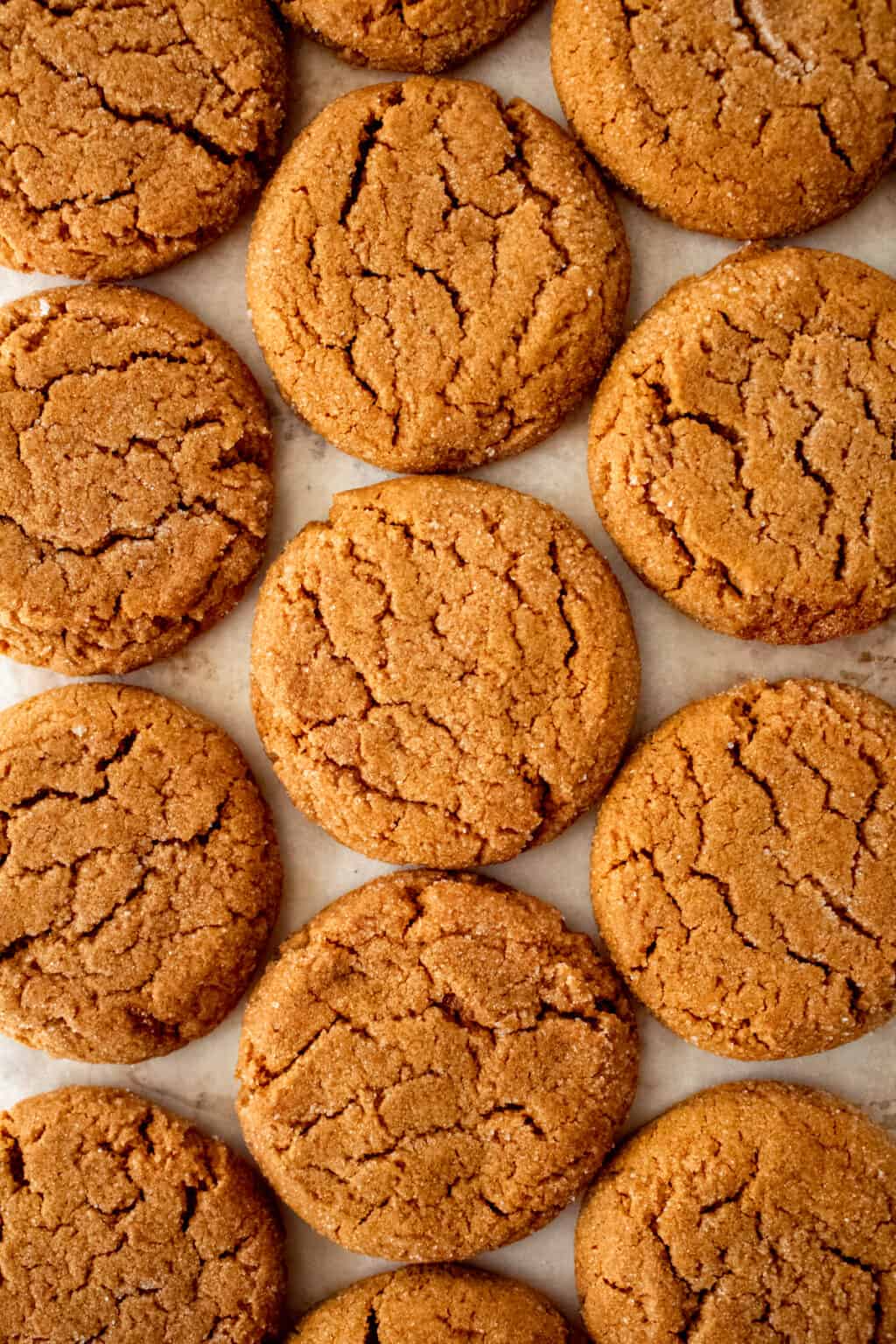 Molasses Crinkle Cookies - Little Vintage Baking